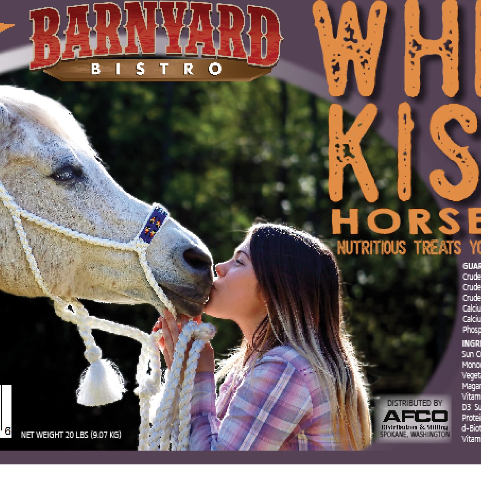 Graphic Design & Marketing – Brianna Hackler